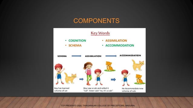 STAGES AND DIMENSIONS OF CHILD GROWTH AND DEVELOPMENT WITH SPECIAL ...