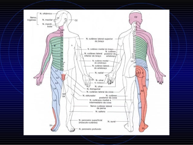 Cga.neurologia.neuropatias perifericas (1)