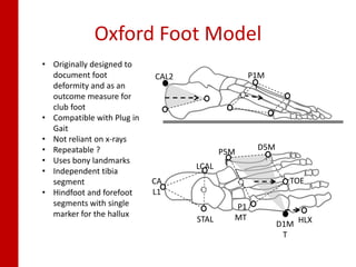 Cga ifa 2015 14 foot models | PPTX