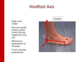 Cga ifa 2015 14 foot models | PPTX