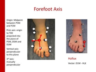 Cga ifa 2015 14 foot models | PPTX