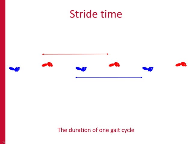 Cga ifa 2015 2 basic measurements | PPTX