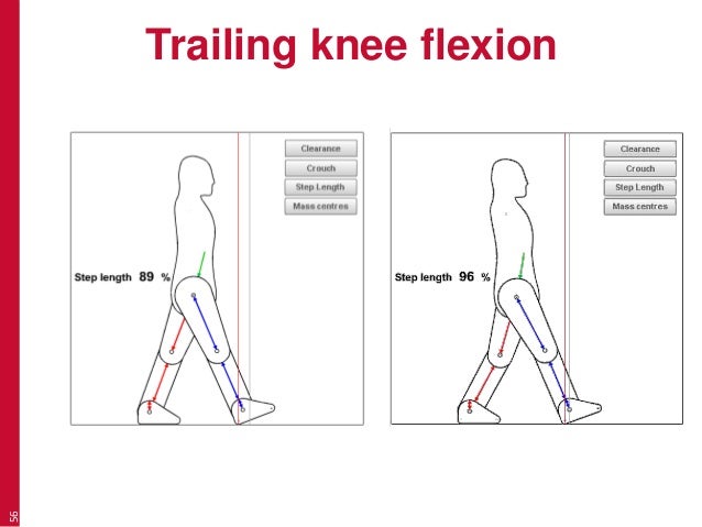 Cga ifa 2015 7 why we walk the way we do