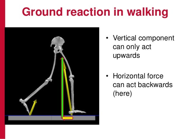 Cga ifa 2015 8 why we walk kinetics