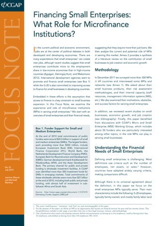 Financing Small Snterprises what Role for Microfinance | PDF