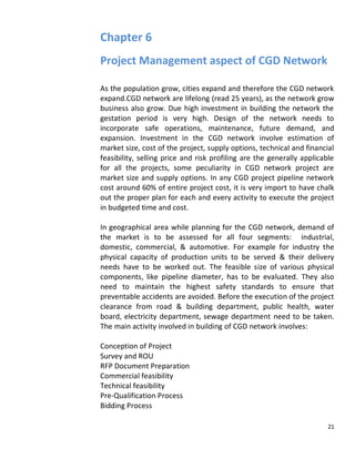 CGD Business in India | PDF