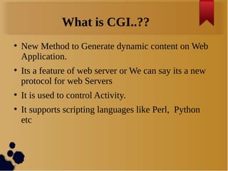 CGI Proxy | PDF