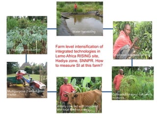 Sustainable intensification in agriculture | PPTX