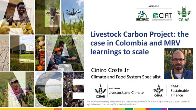 Livestock Carbon Project: the case in Colombia and MRV learnings to ...