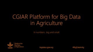 CGIAR Platform for Big Data in Agriculture | PPT