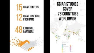 CGIAR Platform for Big Data in Agriculture | PPT