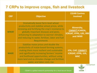 Cgiar presentation cpc october 29 | PPT