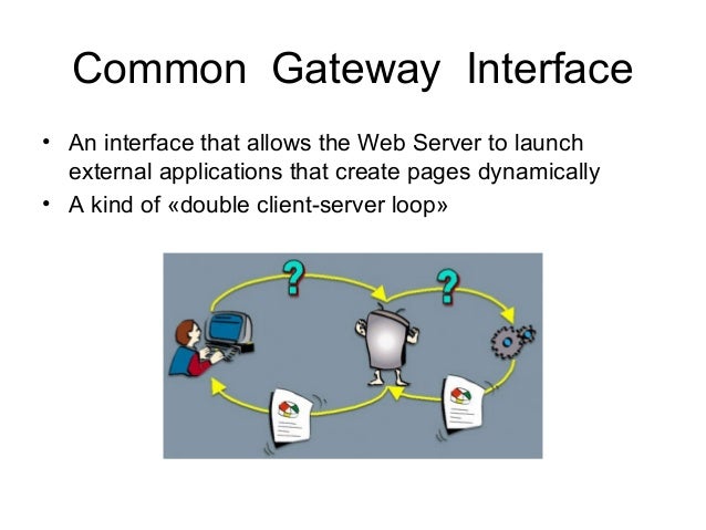 Common Gateway Interface (cgi-bin)
