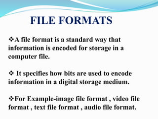 Multimedia data and file format | PPTX