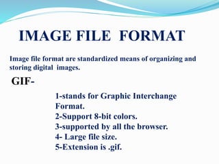 Multimedia data and file format | PPTX