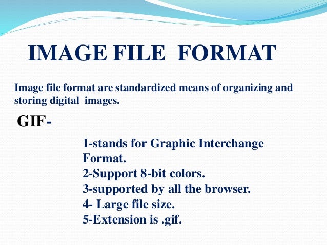 Multimedia data and file format