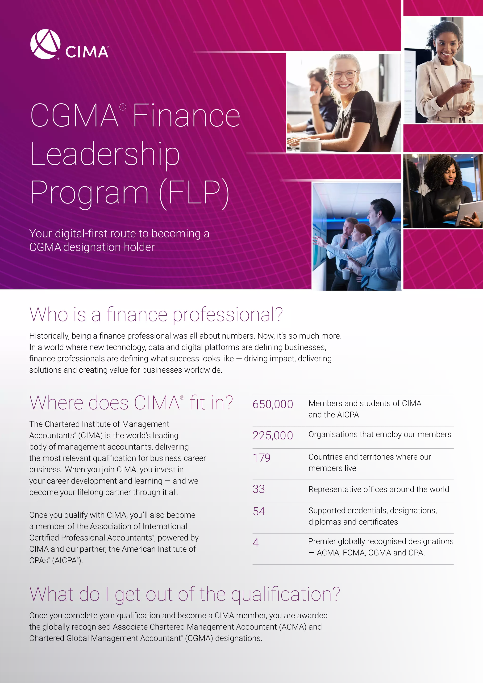 CGMA Finance Leadership Program.pdf