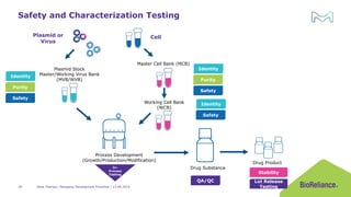 Employing Innovative Platform Manufacturing and Biosafety Testing for ...