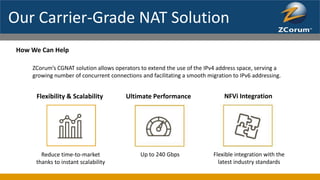 CGNAT Wide Screen | PPTX