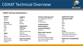 CGNAT Wide Screen | PPTX