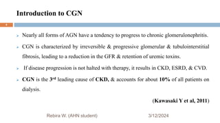 Chronic Glomerulo Nephritis Presentation.pptx