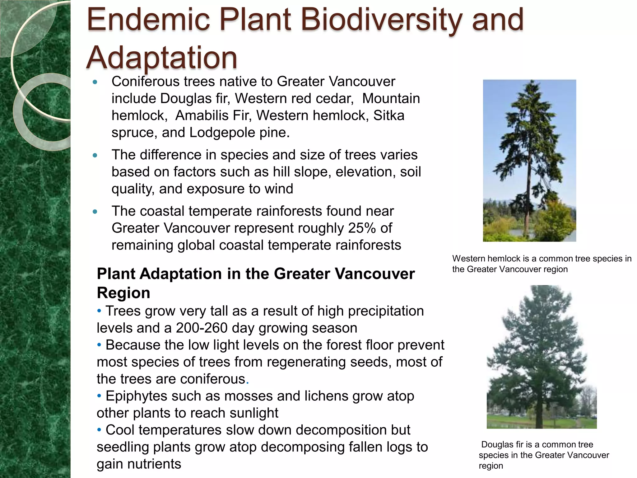 Greater Vancouver Local Environment Geography | PPTX | Geography | Science