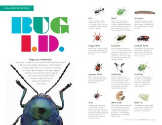 Cgp magazine thd_3-18-13_online_version | PDF