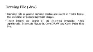 CG presentation image file formats and its types | PPTX