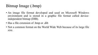 CG presentation image file formats and its types | PPTX | Graphics Software | Computer Software ...