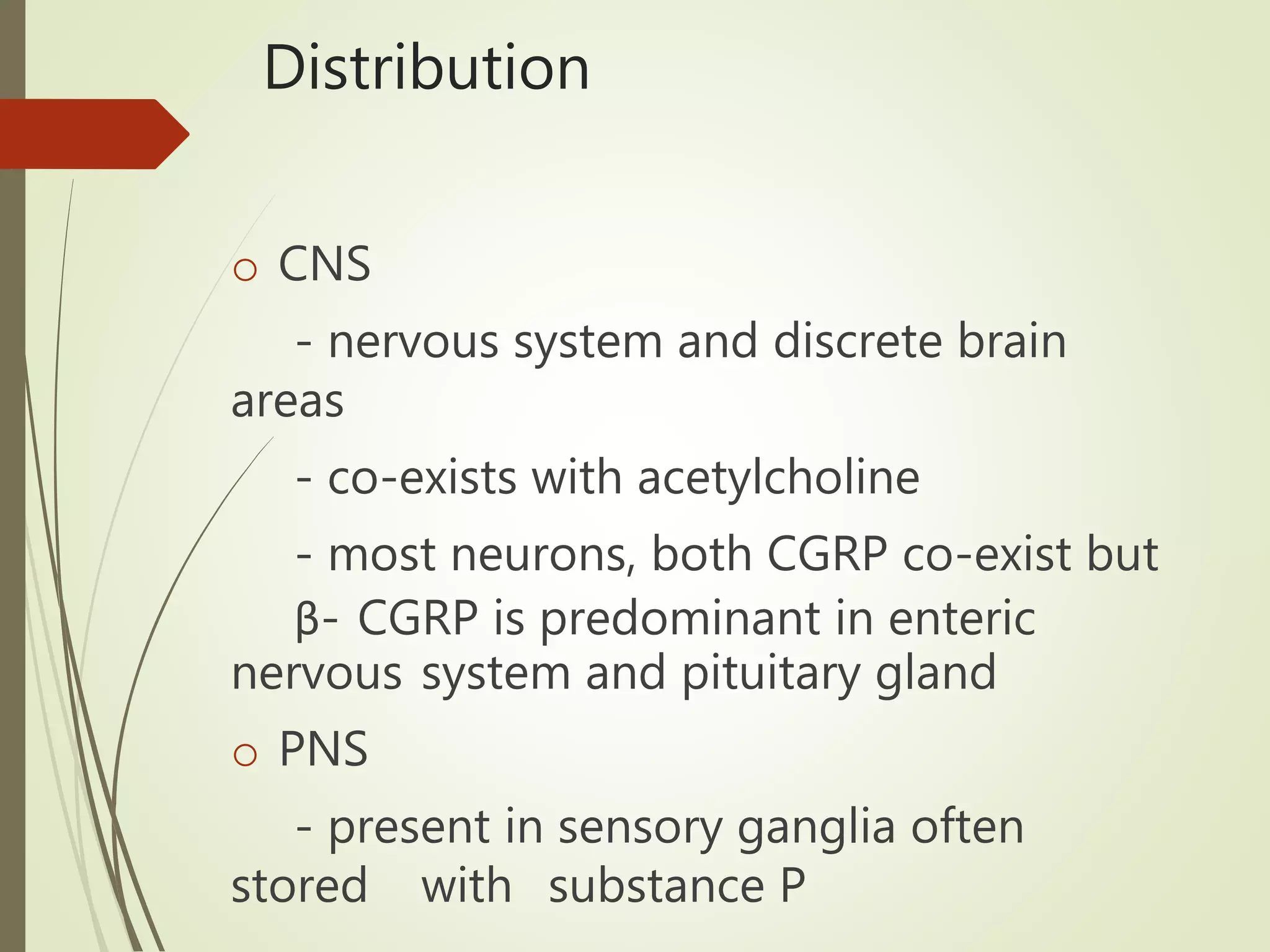 Cgrp calcitonin gene related peptide | PPTX