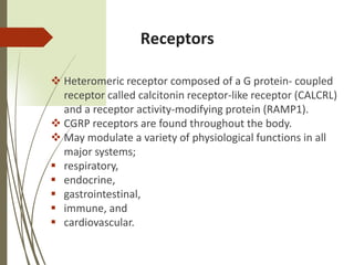 Cgrp calcitoningenerelatedpeptide | PPT