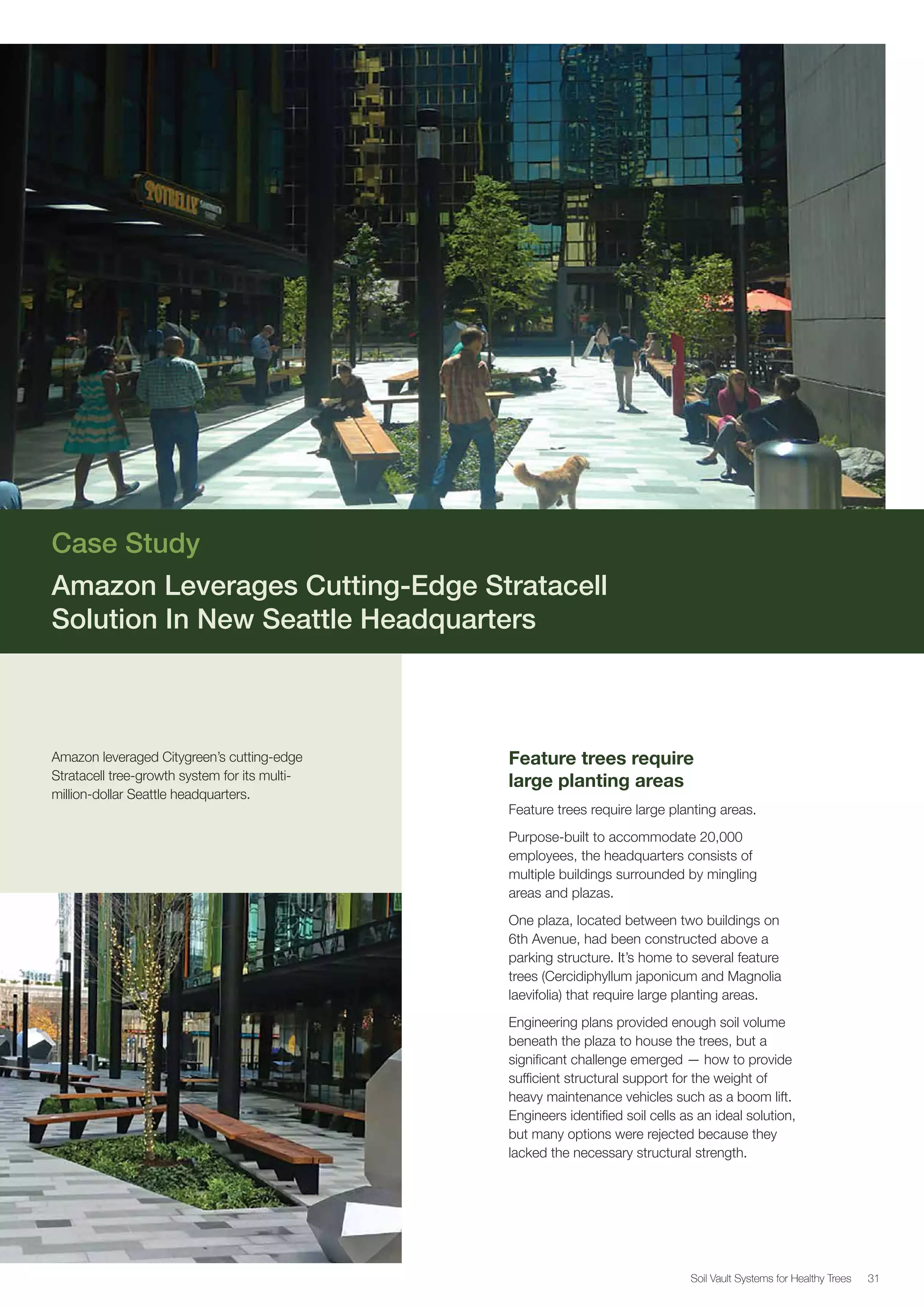 Soil Vault Systems for Healthy Trees in Cities | PDF