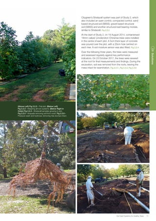 Soil Vault Systems for Healthy Trees in Cities | PDF