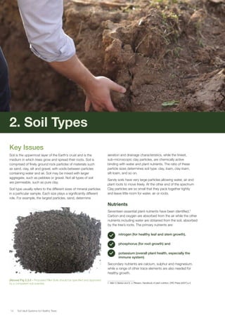 Soil Vault Systems for Healthy Trees in Cities | PDF