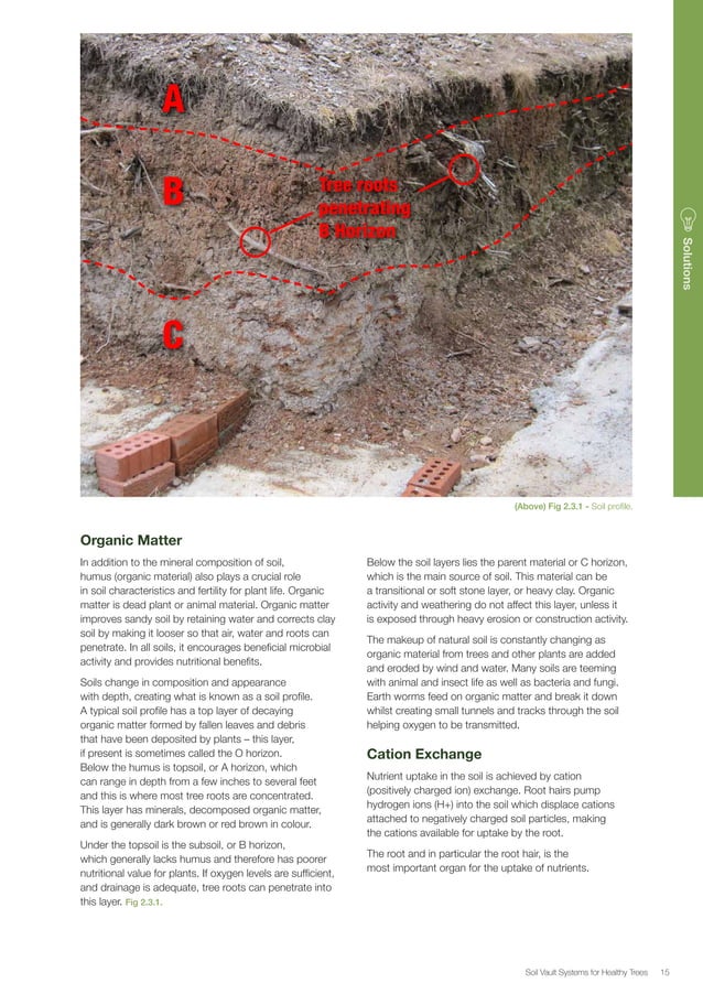 Soil Vault Systems for Healthy Trees in Cities | PDF