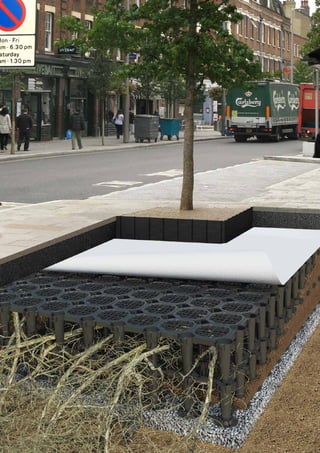 Soil Vault Systems for Healthy Trees in Cities | PDF