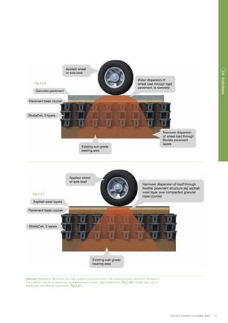 Soil Vault Systems for Healthy Trees in Cities | PDF
