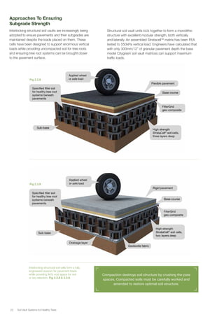 Soil Vault Systems for Healthy Trees in Cities | PDF
