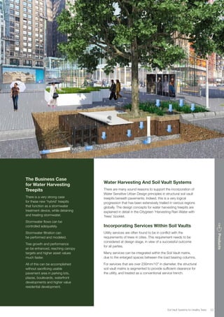 Soil Vault Systems for Healthy Trees in Cities | PDF