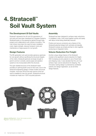 Soil Vault Systems for Healthy Trees in Cities | PDF