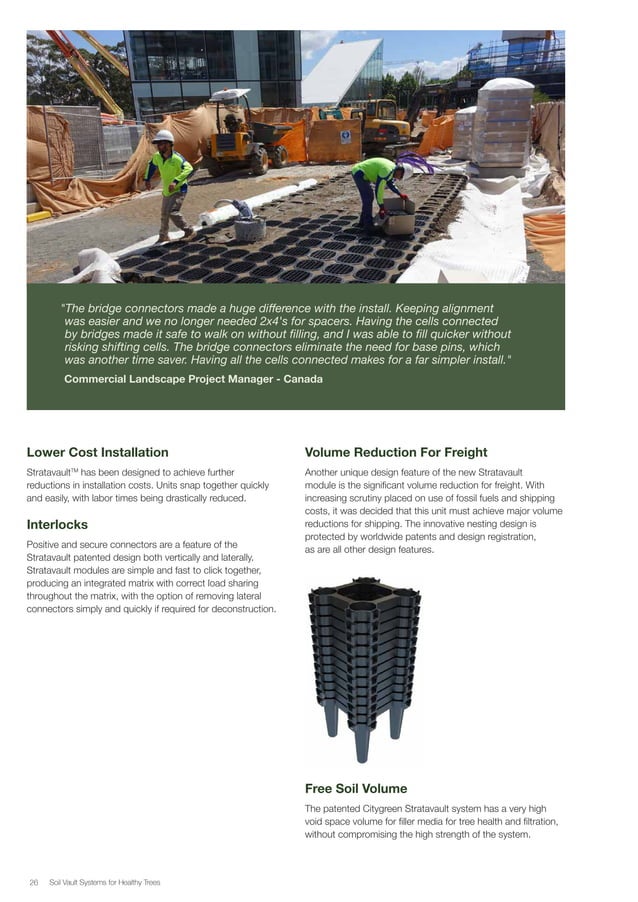 Soil Vault Systems for Healthy Trees in Cities | PDF