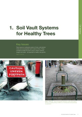 Soil Vault Systems for Healthy Trees in Cities | PDF