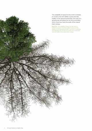 Soil Vault Systems for Healthy Trees in Cities | PDF