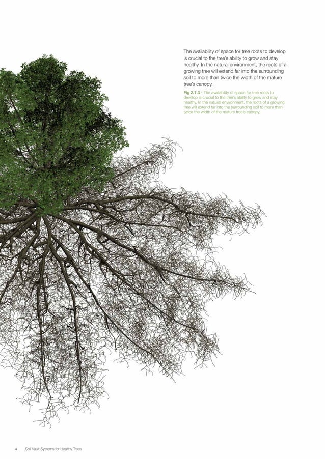 Soil Vault Systems for Healthy Trees in Cities | PDF