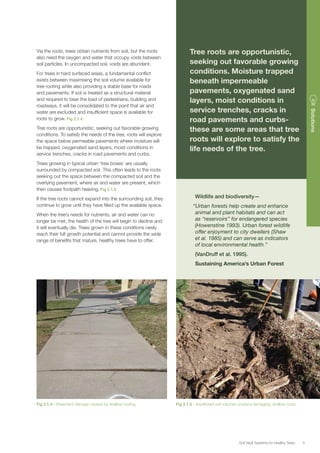 Soil Vault Systems for Healthy Trees in Cities | PDF