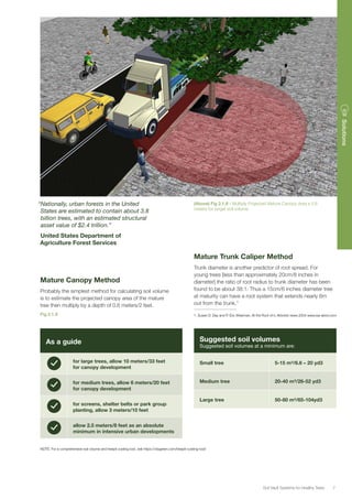 Soil Vault Systems for Healthy Trees in Cities | PDF