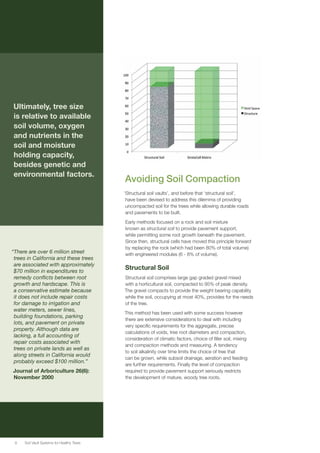 Soil Vault Systems for Healthy Trees in Cities | PDF