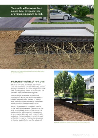 Soil Vault Systems for Healthy Trees in Cities | PDF