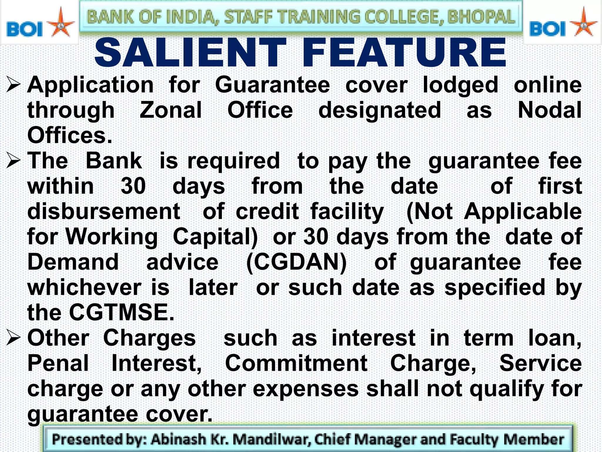 CGTMSE & other loan guarantee schemes | PDF