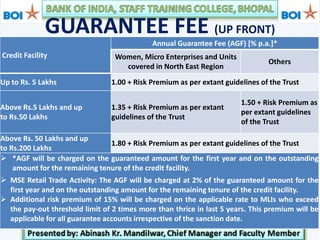 CGTMSE & other loan guarantee schemes | PDF